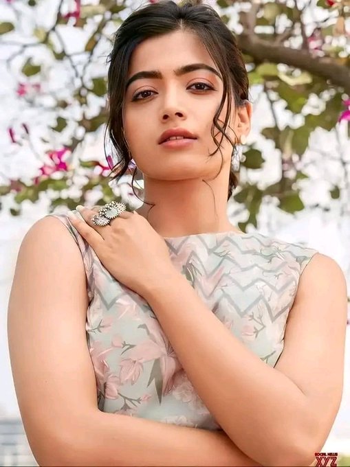 What is Rashmika Mandanna s connection with Kantara??
