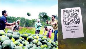 QR Code on Watermelon: For Non-Toxic Variety