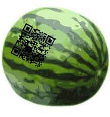 QR Code on Watermelon: For Non-Toxic Variety