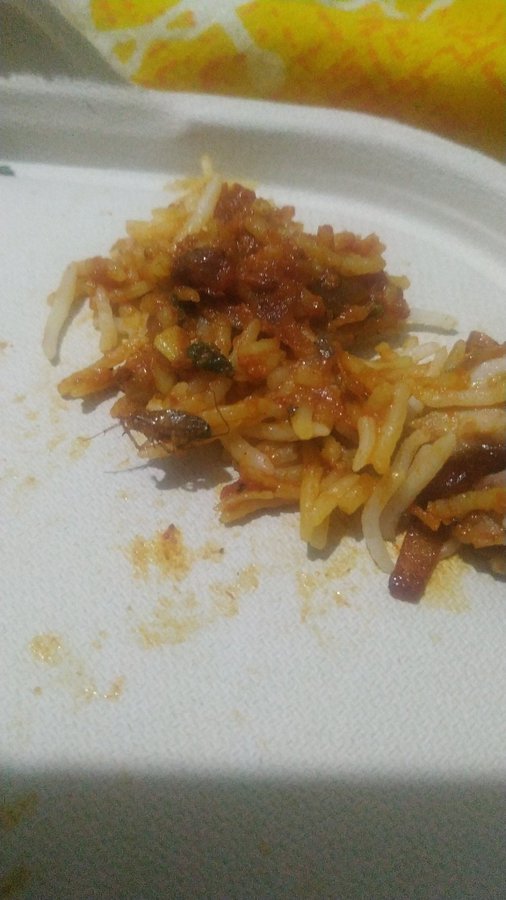 What Cockroach in Chicken Biryani??
