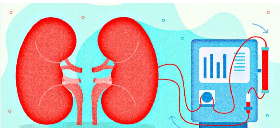How long can a patient survive through dialysis