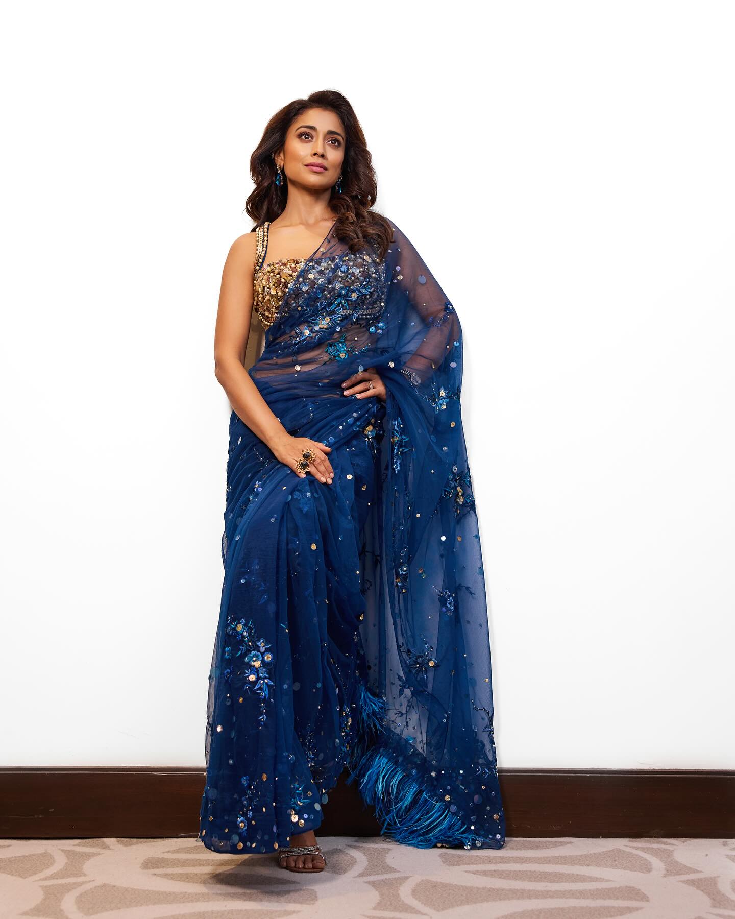 Shriya Saran Slays Traditional Look In Shimmery Blue Saree