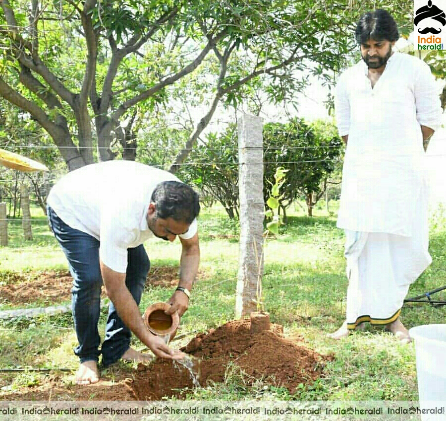 Janasena Cheif Pawan Kalyan Vana Rakshana Campaign Launch S