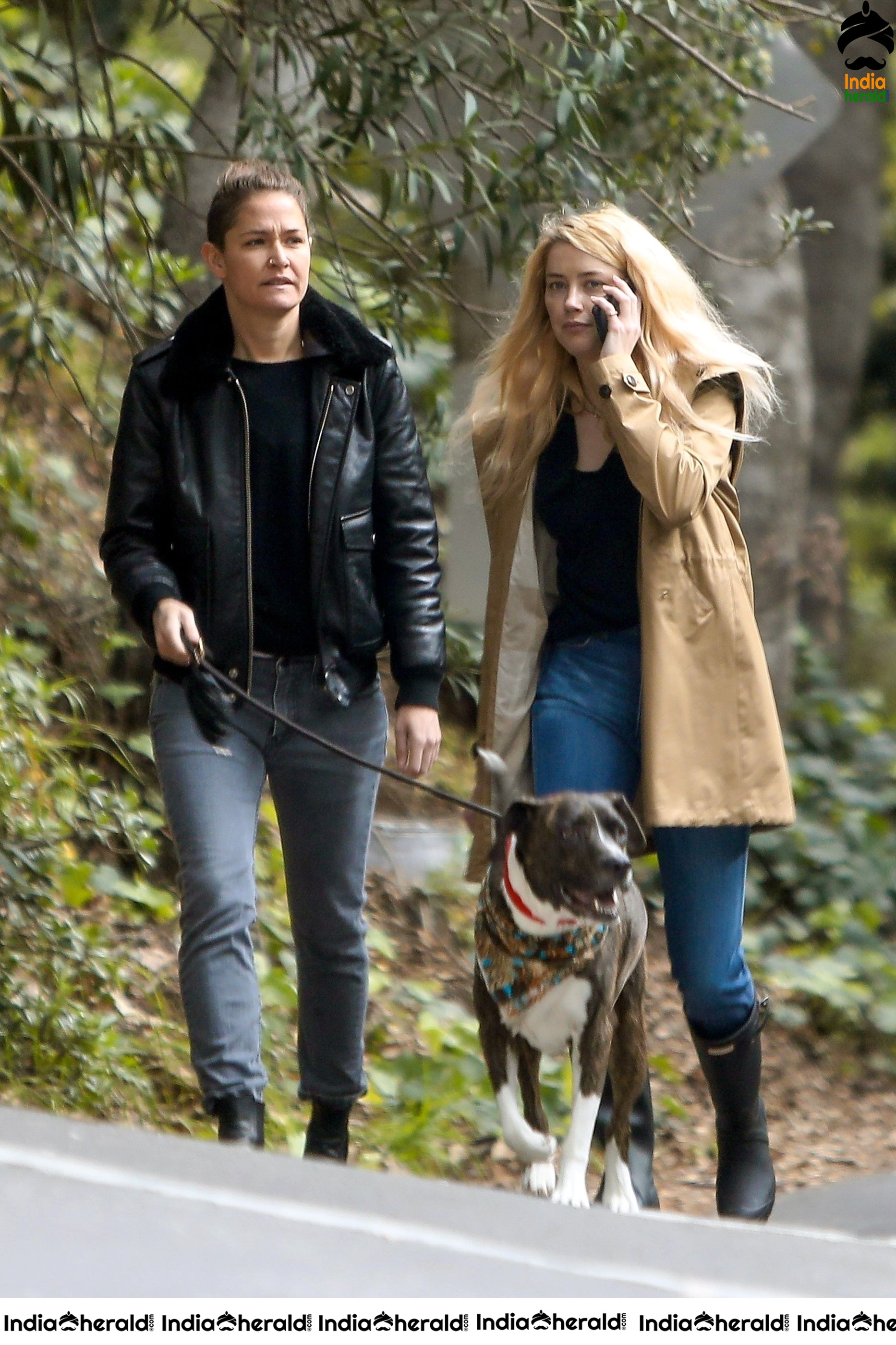 Amber Heard takes a break from isolation to walk Birdie wit