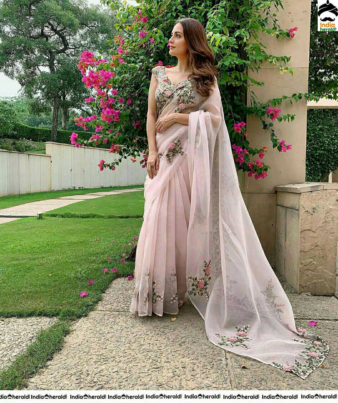 Dia Mirza Looking Hot In Transparent Saree