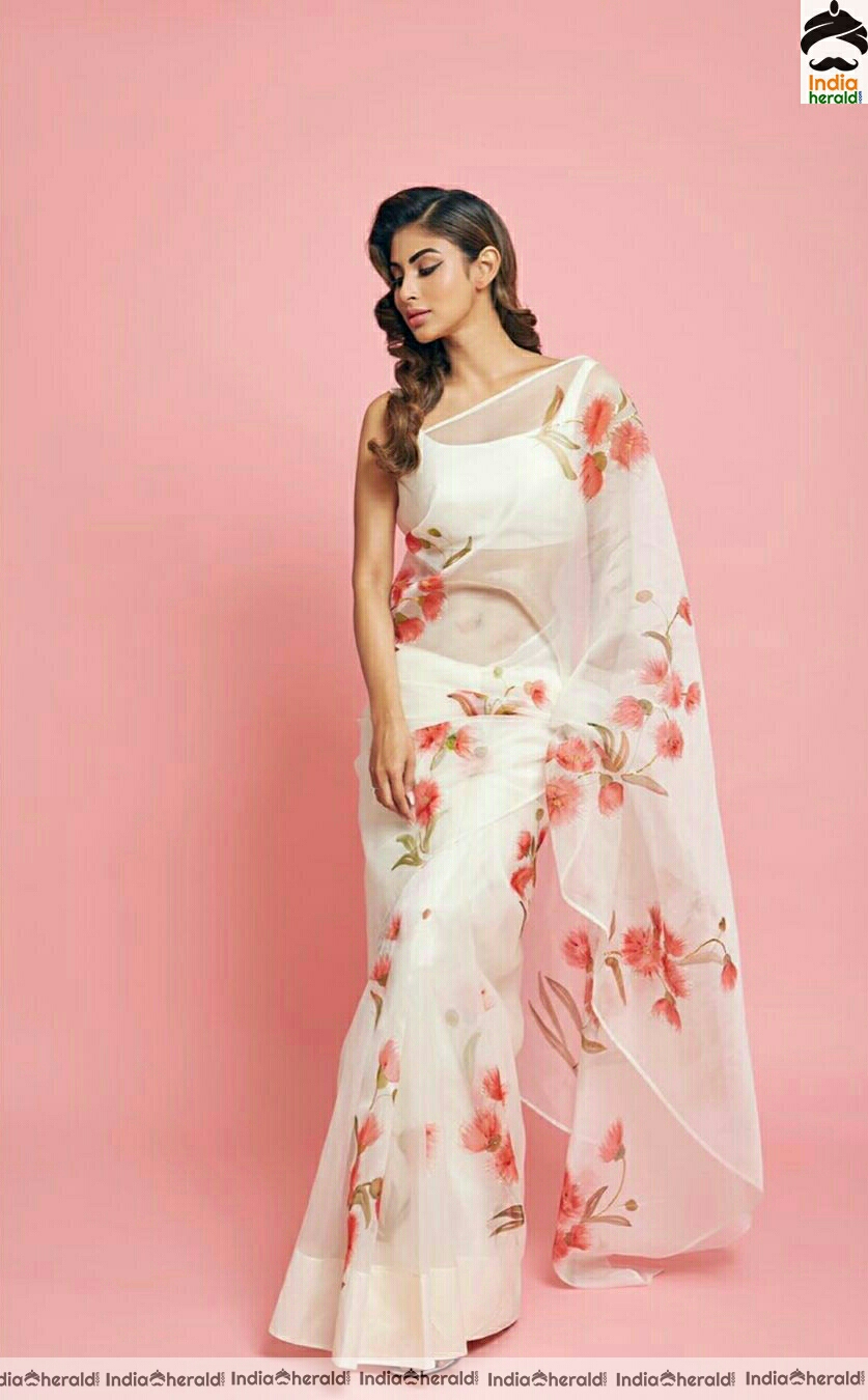 Mouni Roy Transparent White Saree Stills