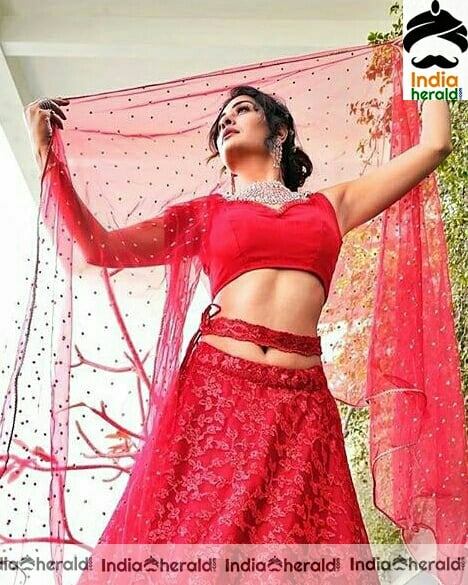 Payal Rajput Red Hot Waist and Navel Photos