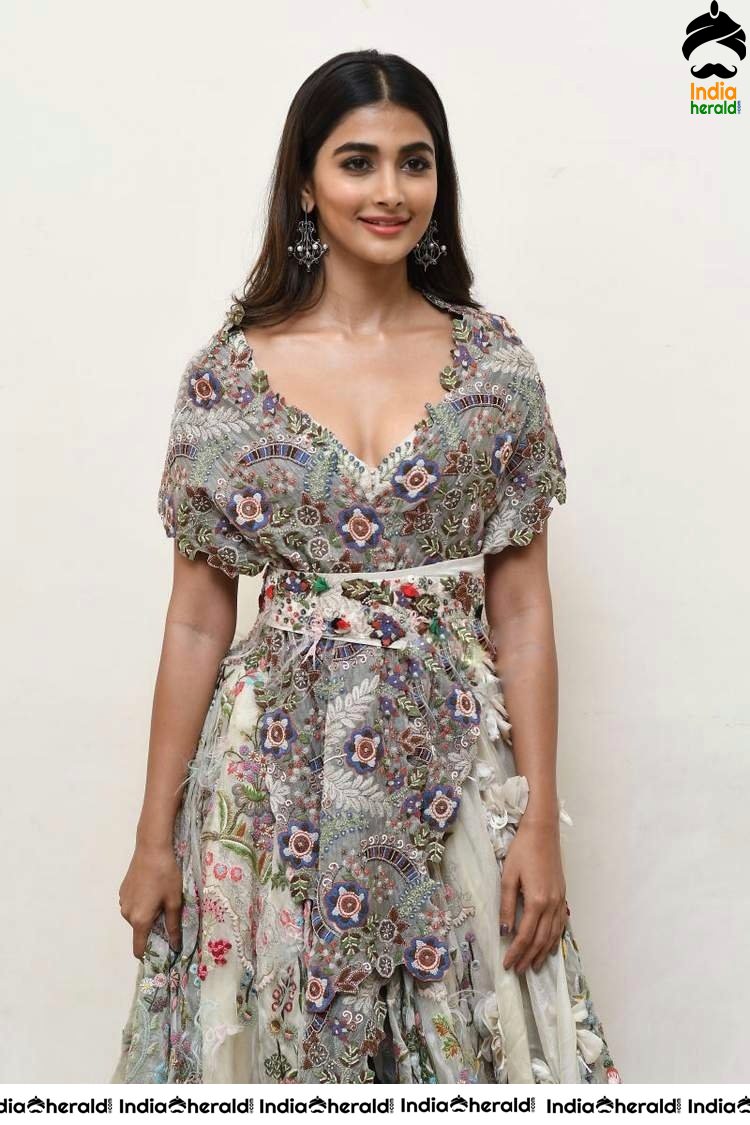 Pooja HegdeLatest Hot Clicks and Cute clicks with her Husky