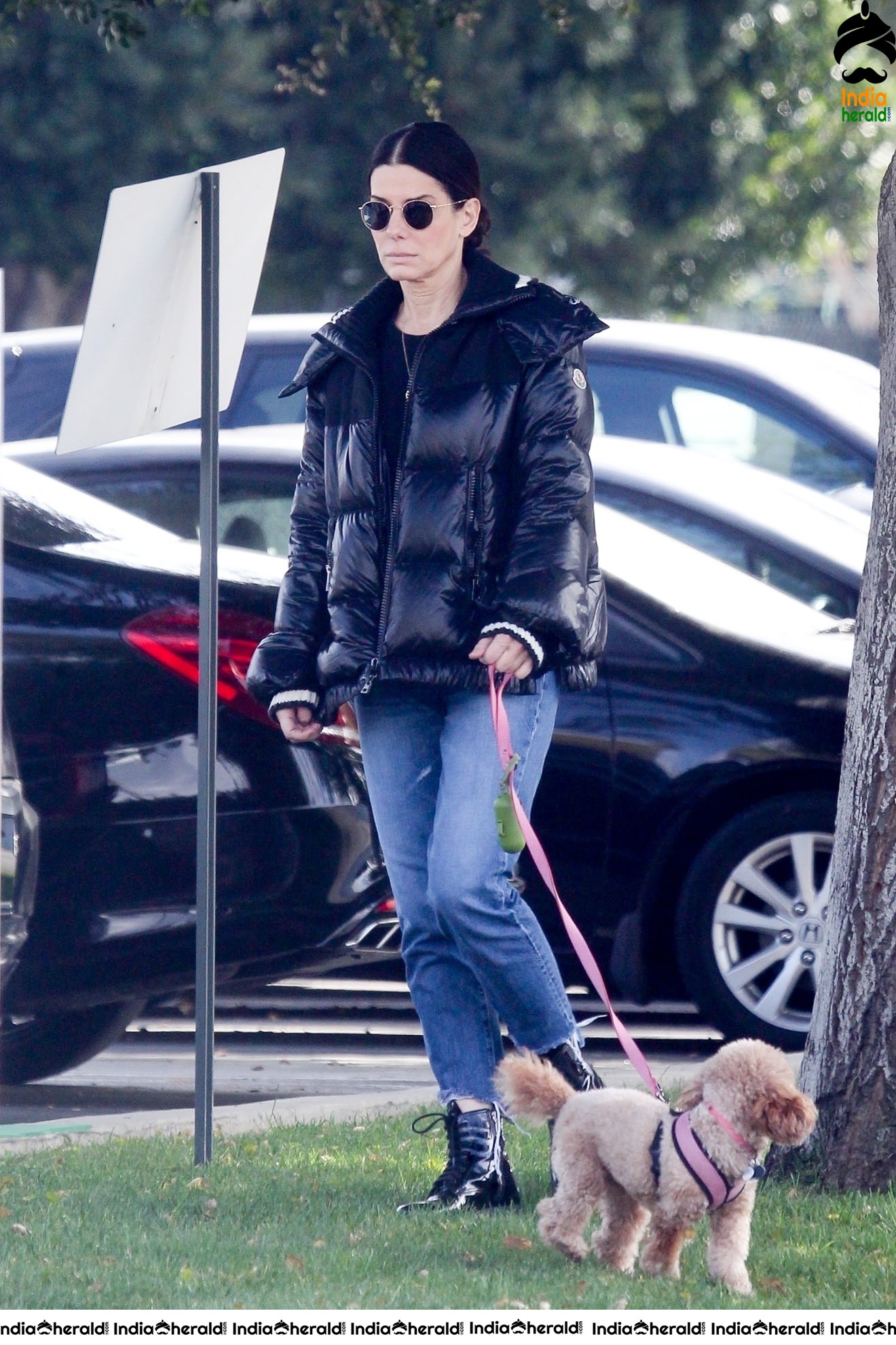 Sandra Bullock Takes her dog out for an afternoon walk in V