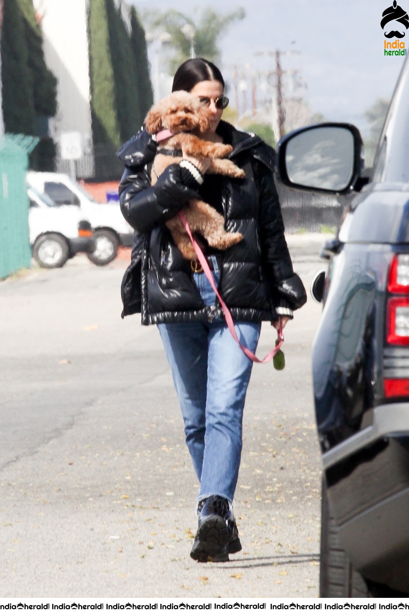 Sandra Bullock Takes her dog out for an afternoon walk in V