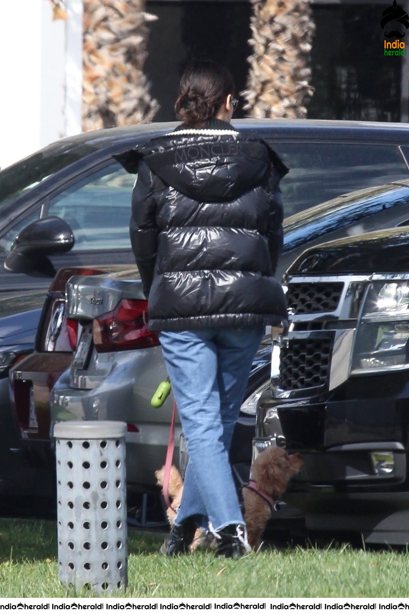 Sandra Bullock Takes her dog out for an afternoon walk in V