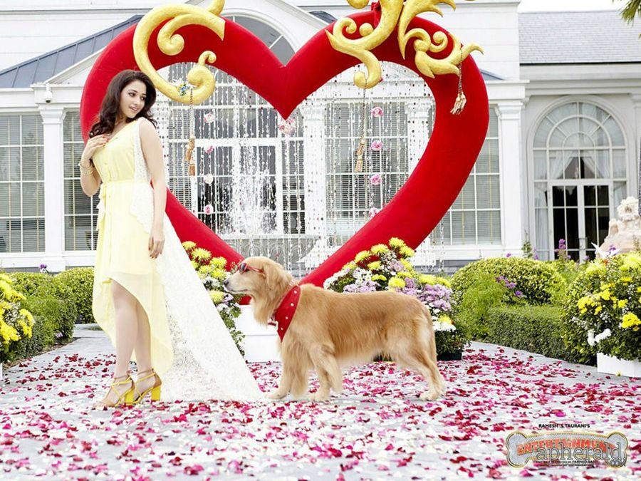 Tollywood Actress Beautiful Images