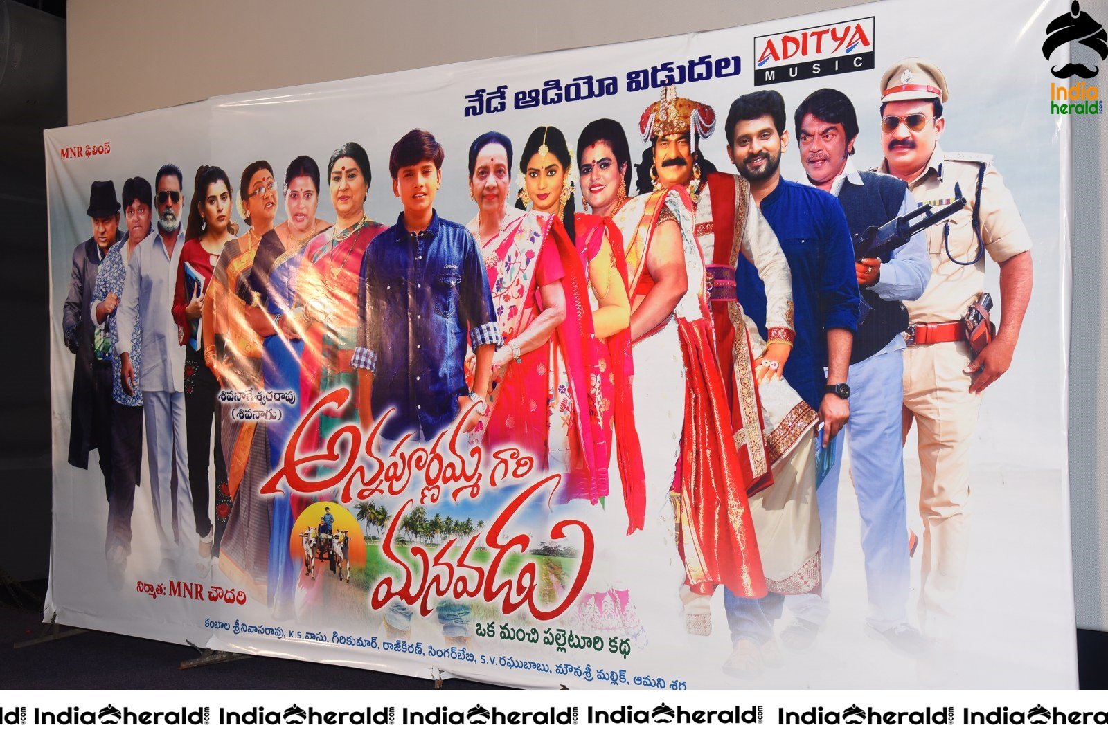 Annapurnamma Gari Manavadu Movie Audio Launch Set 2