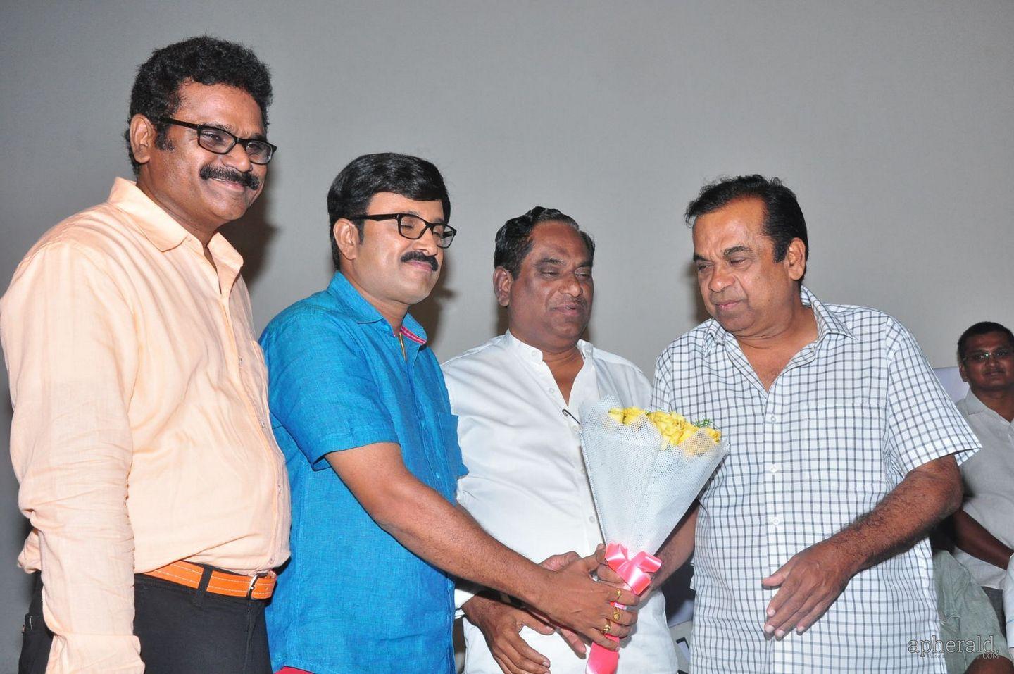 Eluka Mazaka Logo launch