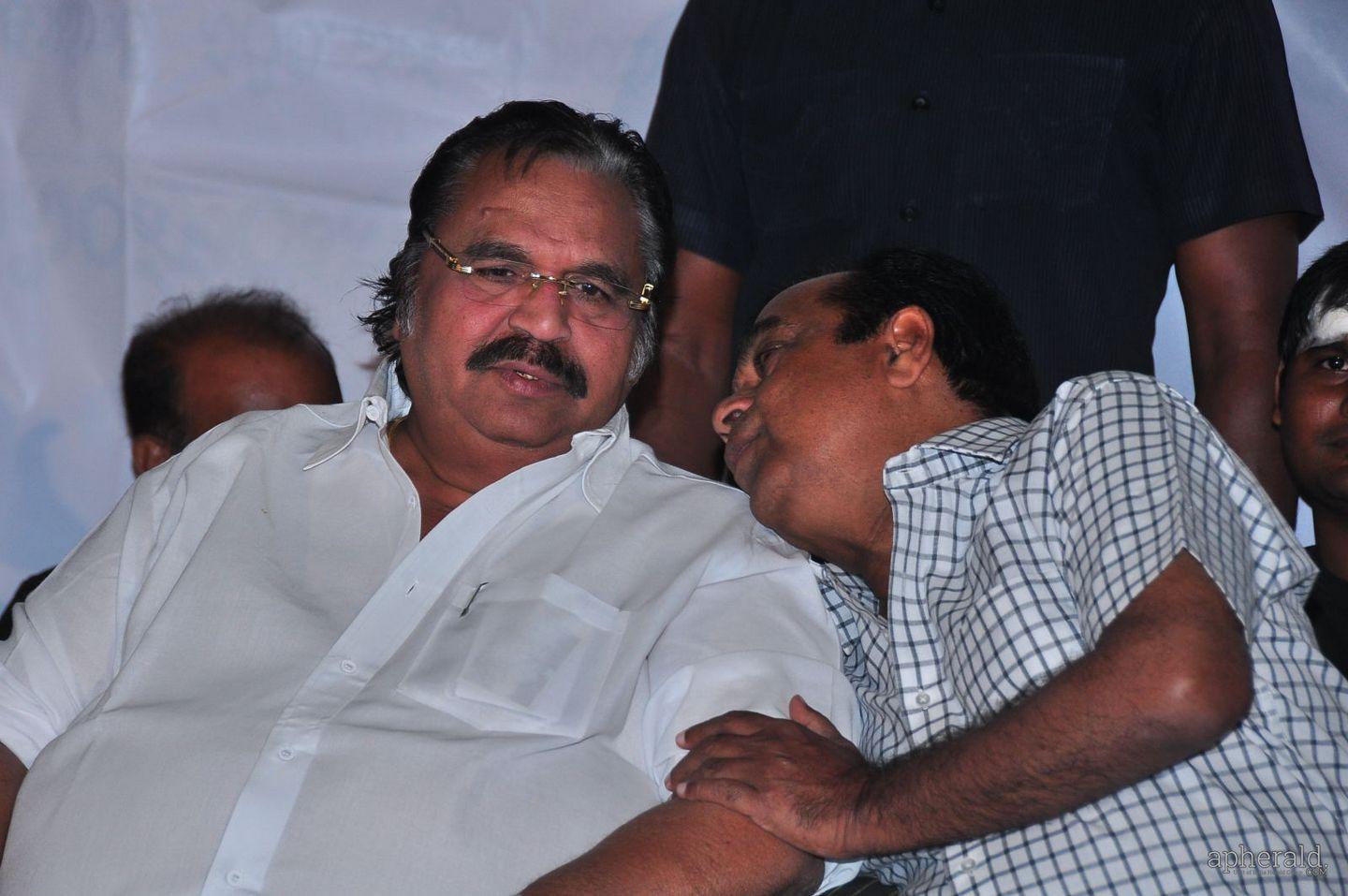 Eluka Mazaka Logo launch