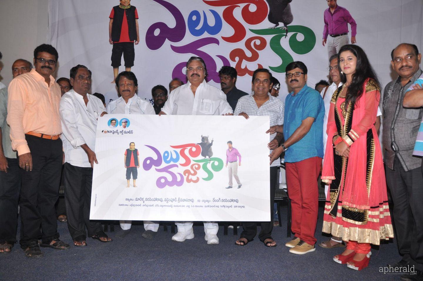 Eluka Mazaka Logo launch