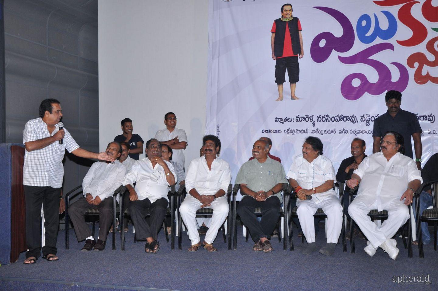 Eluka Mazaka Logo launch