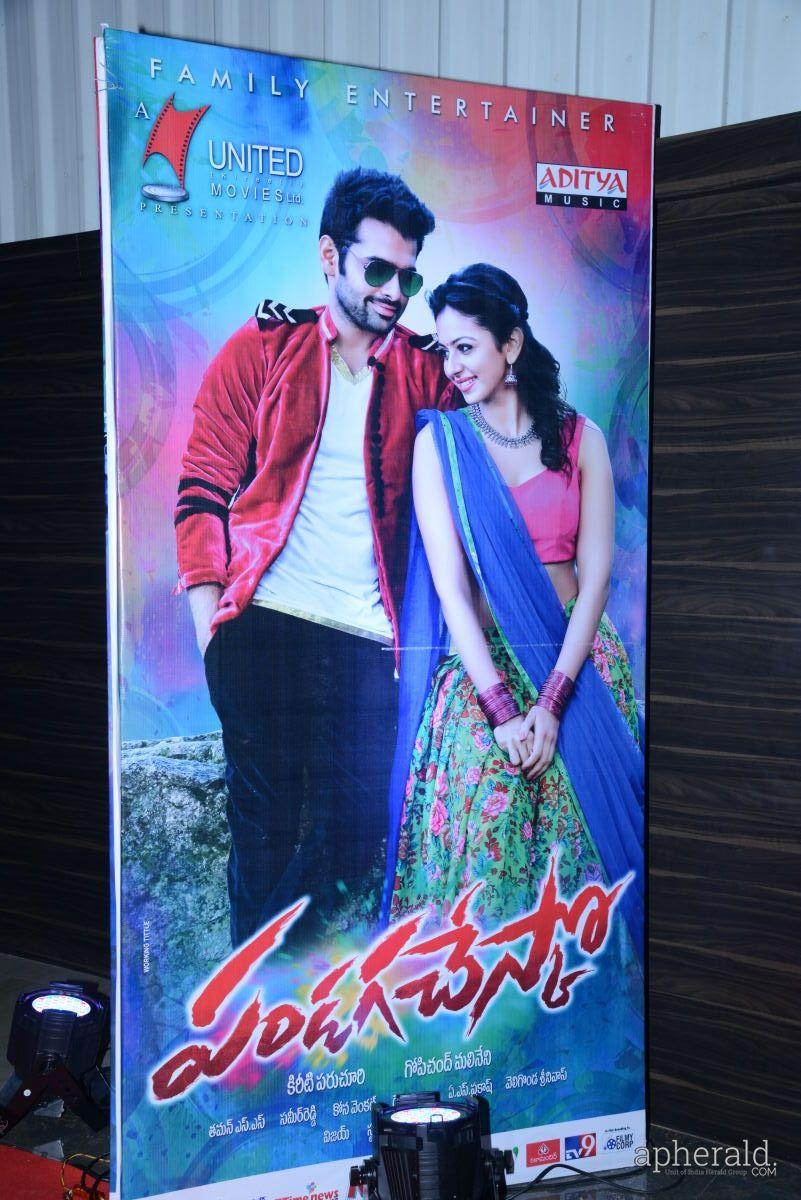 Pandaga Chesuko Hoardings At Audio Launch