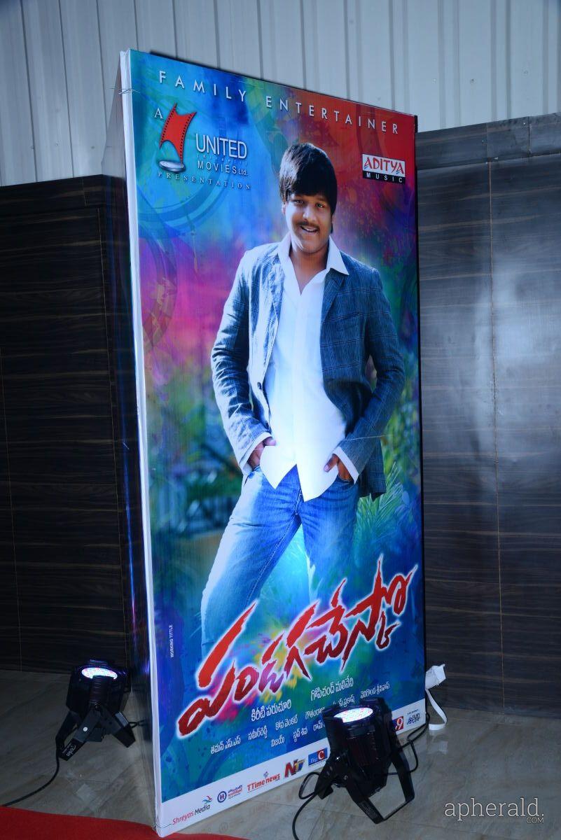 Pandaga Chesuko Hoardings At Audio Launch