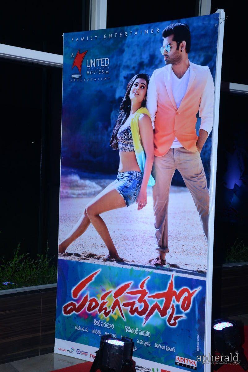 Pandaga Chesuko Hoardings At Audio Launch