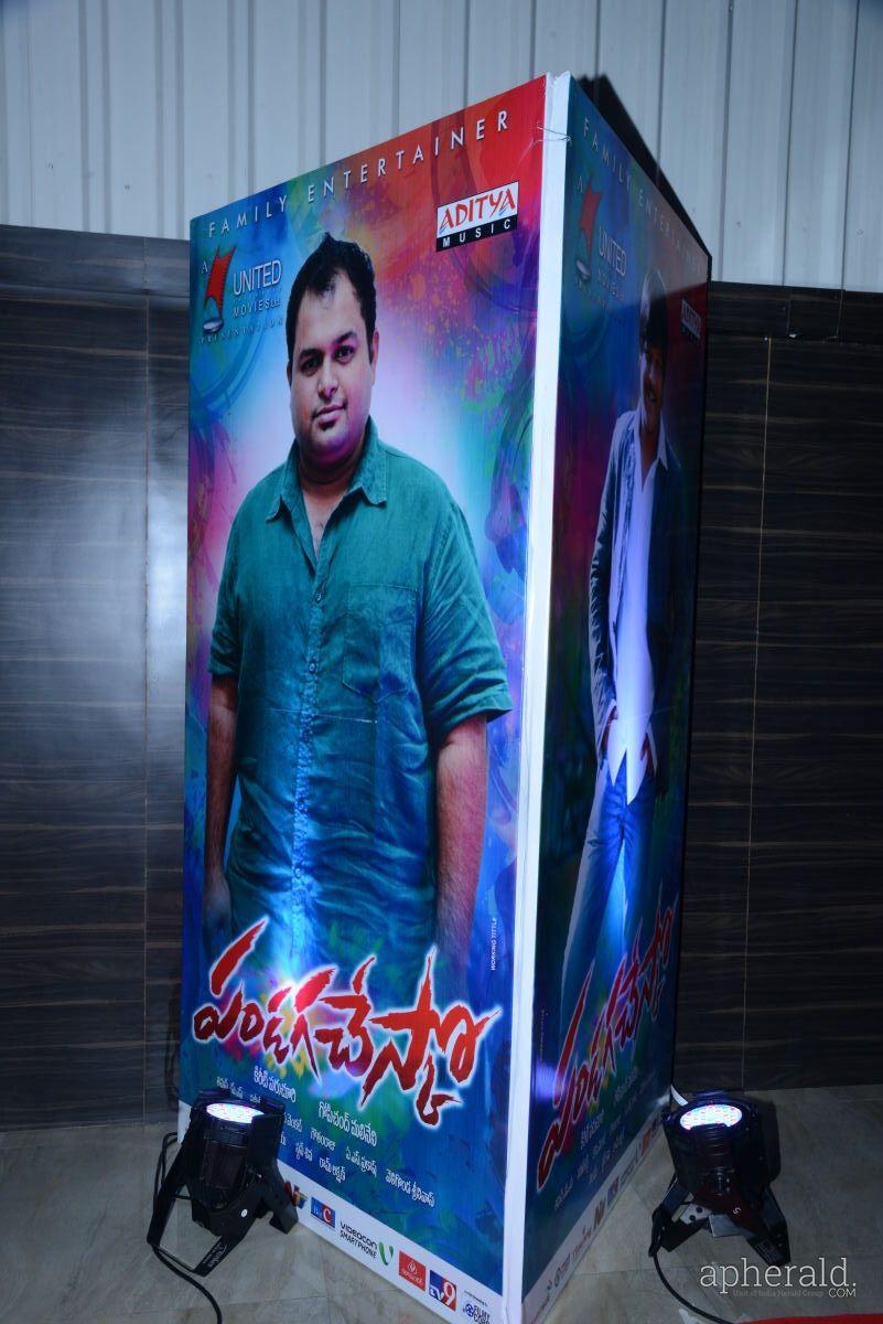 Pandaga Chesuko Hoardings At Audio Launch