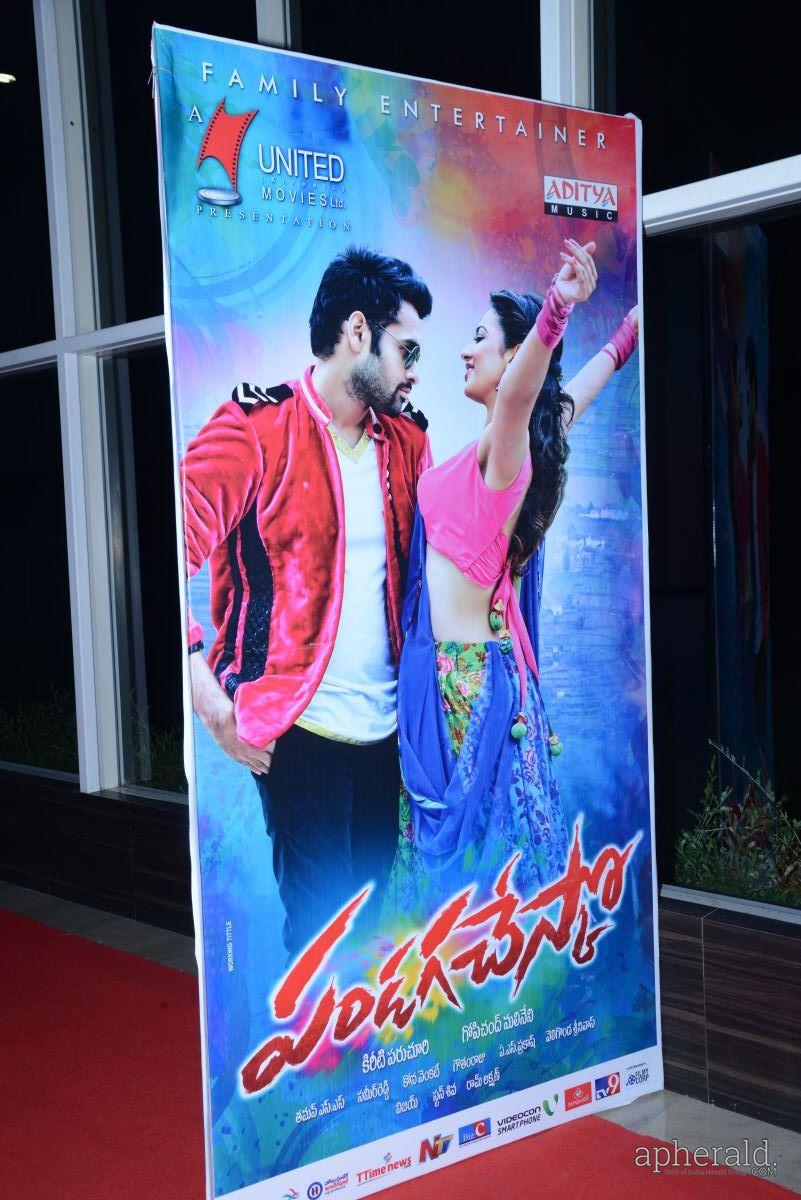 Pandaga Chesuko Hoardings At Audio Launch
