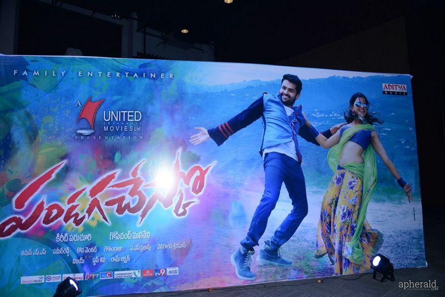 Pandaga Chesuko Hoardings At Audio Launch