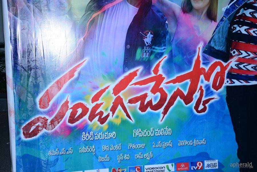 Pandaga Chesuko Hoardings At Audio Launch