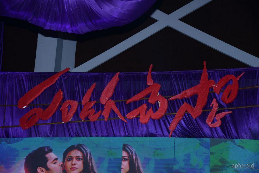 Pandaga Chesuko Hoardings At Audio Launch