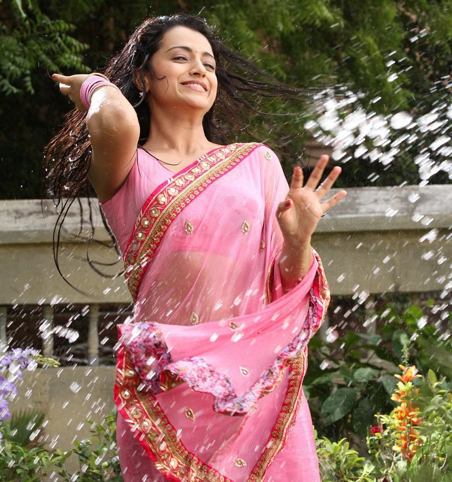 Trisha In Transparent Saree Pictures