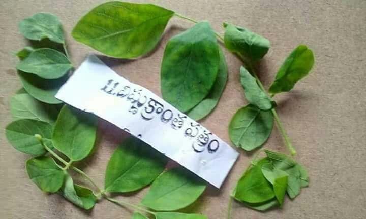 Types of Patri used in Ganesha Chaturthi