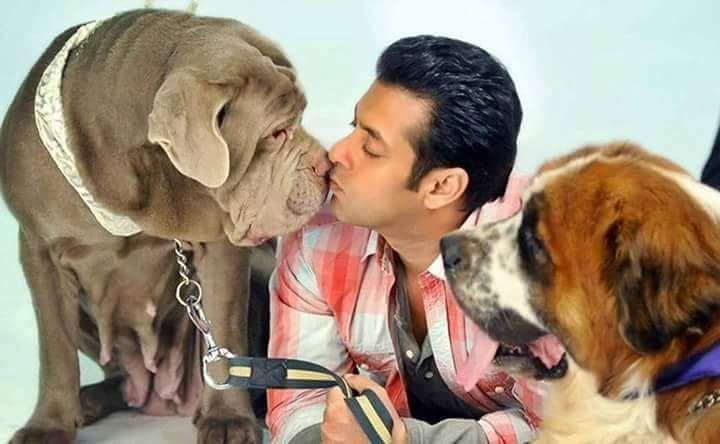 PHOTOS: Indian Celebrities With Their Super Adorable Pets