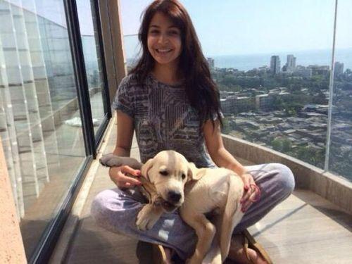 PHOTOS: Indian Celebrities With Their Super Adorable Pets