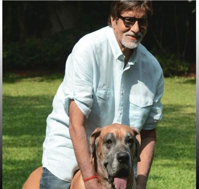 PHOTOS: Indian Celebrities With Their Super Adorable Pets