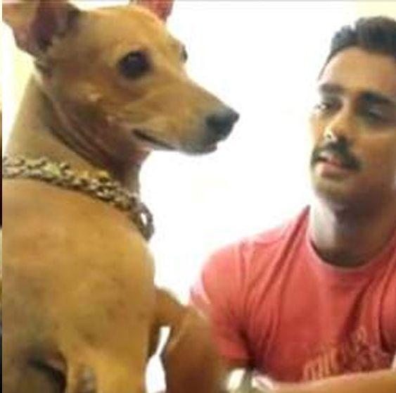 PHOTOS: Indian Celebrities With Their Super Adorable Pets