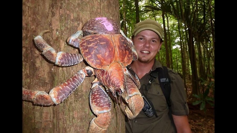 World Biggest Animals Rare Collection