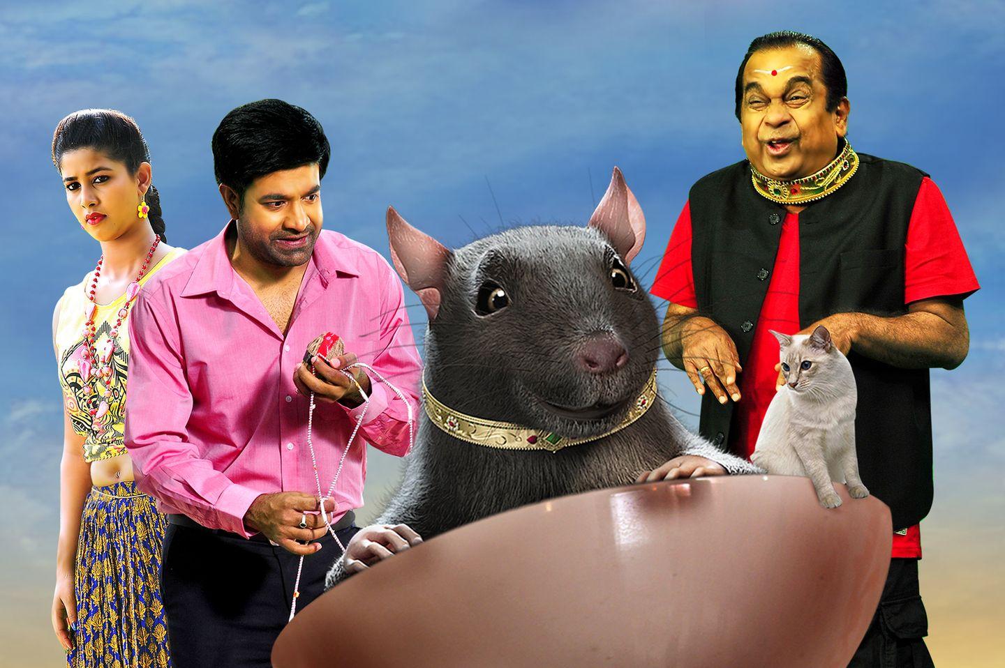 Eluka Majaka New Photos