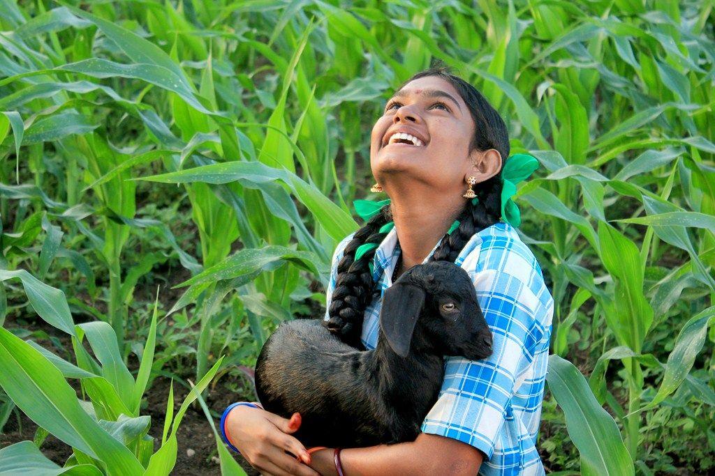 Kida Poosari Magudi Movie Latest Stills