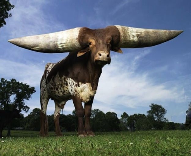 Most Unbelievable Real Pictures