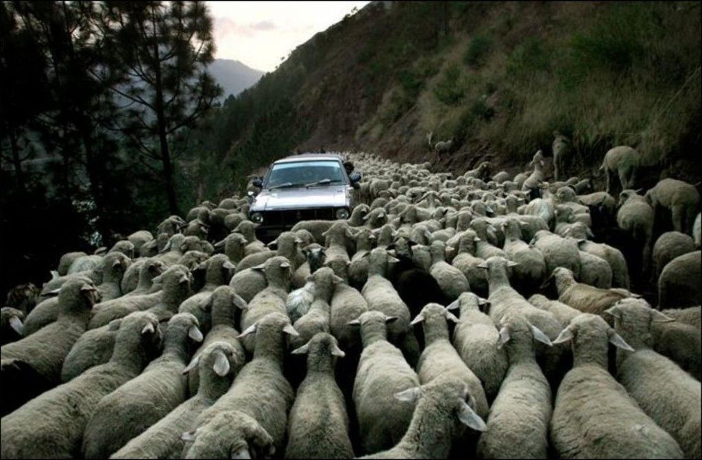 Most Unbelievable Real Pictures
