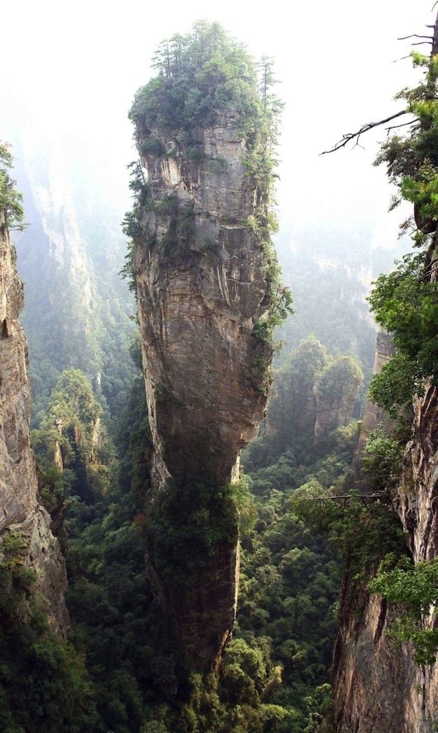 Most Unbelievable Real Pictures