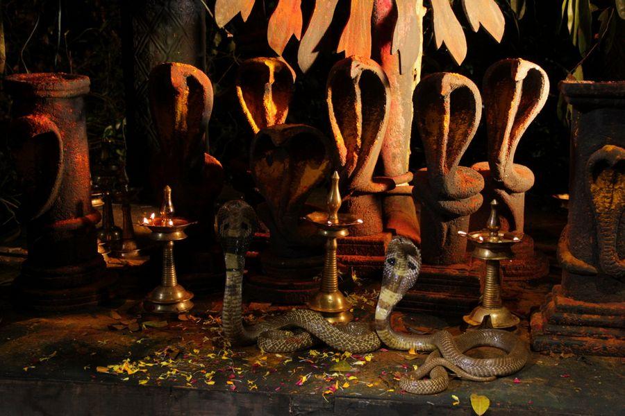 Punnami Ratri Movie Photos