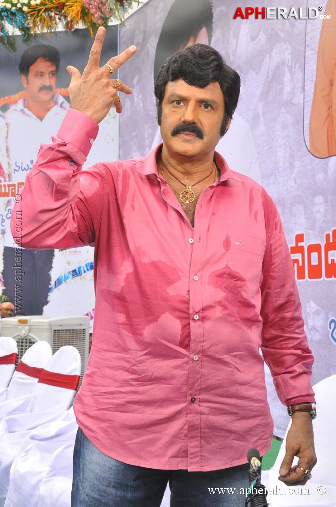EXCLUSIVE: Balakrishna Birthday Celebration Photos