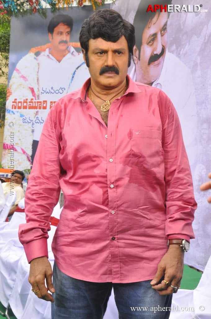 EXCLUSIVE: Balakrishna Birthday Celebration Photos