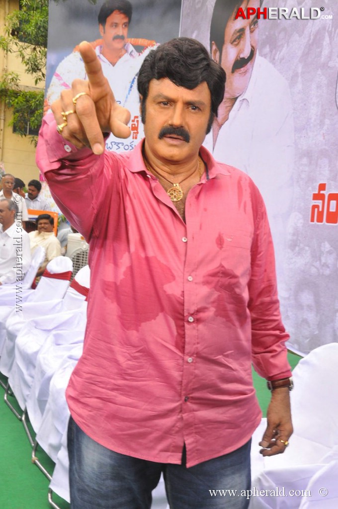 EXCLUSIVE: Balakrishna Birthday Celebration Photos