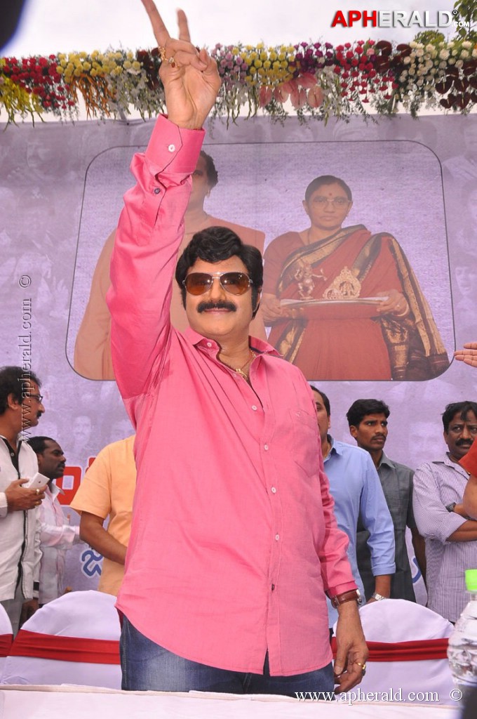 EXCLUSIVE: Balakrishna Birthday Celebration Photos