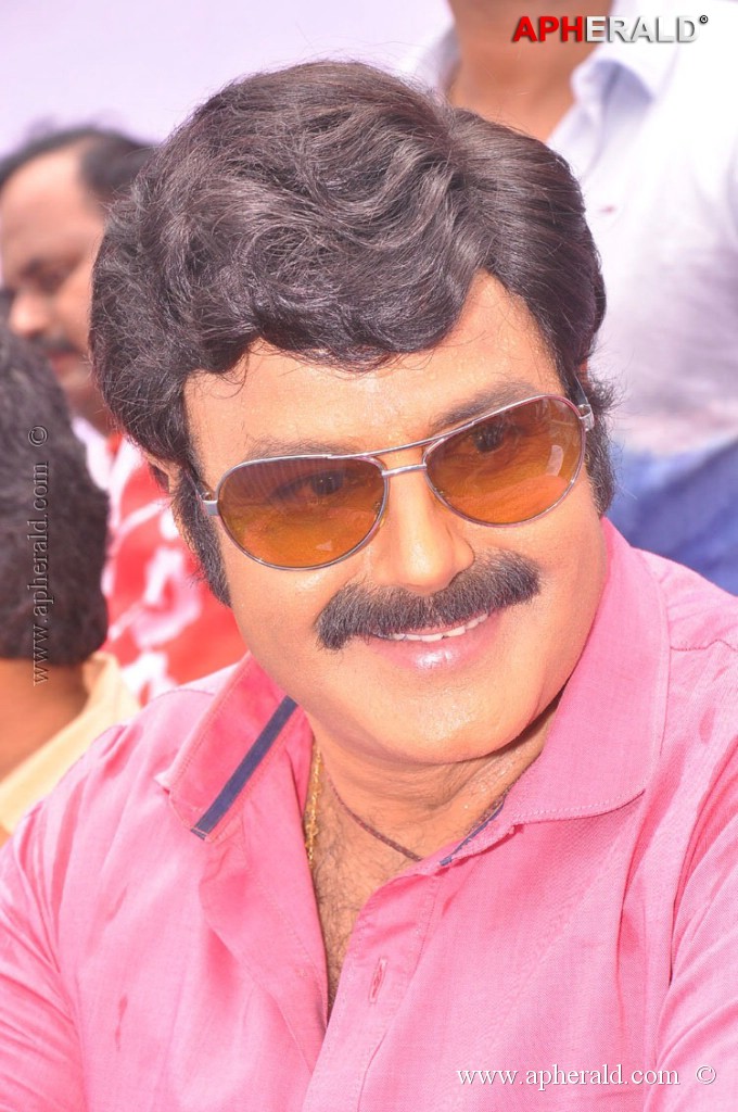 EXCLUSIVE: Balakrishna Birthday Celebration Photos