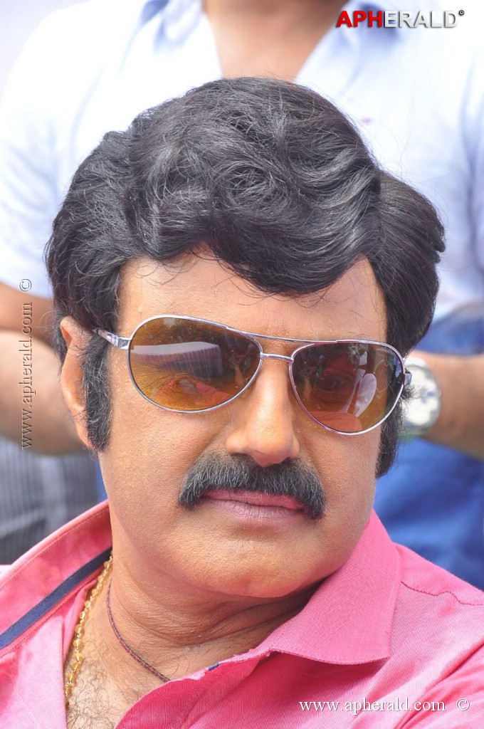 EXCLUSIVE: Balakrishna Birthday Celebration Photos