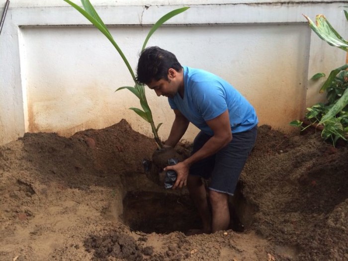 Suriya My Tree Challenge Photos