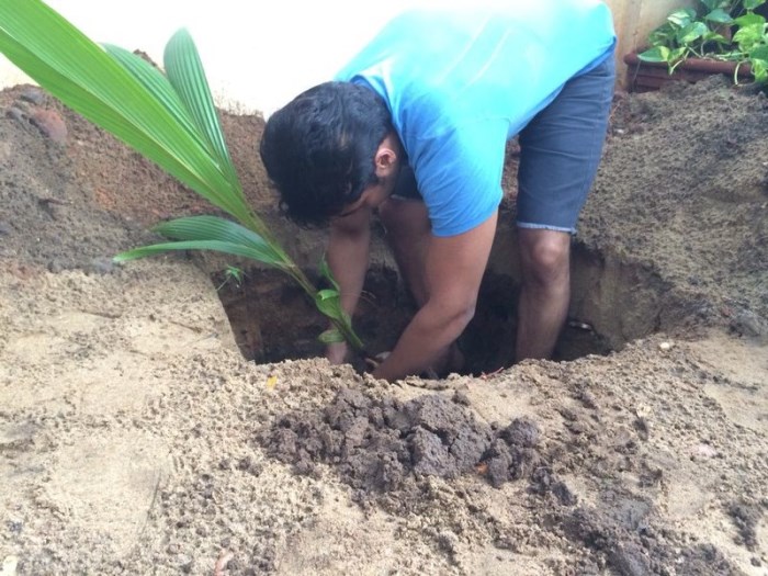 Suriya My Tree Challenge Photos